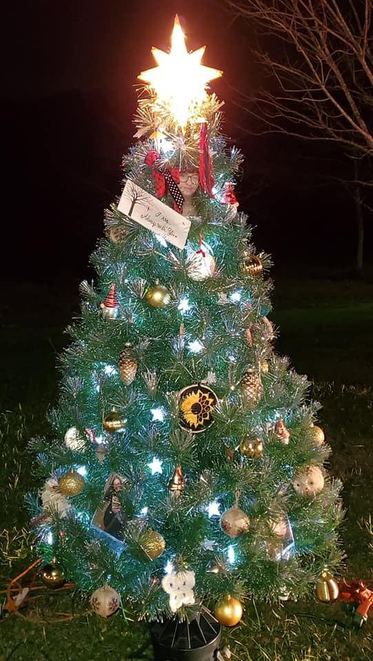 Washington's Riverfront Park Celebrates the Holidays | Ravenswood West ...